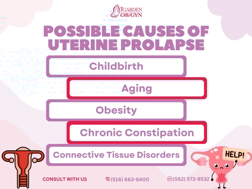 What Causes Uterine Prolapse?: Garden OBGYN: Obstetrics