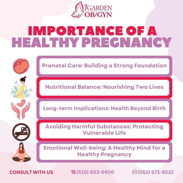 The Importance of Healthy Pregnancy: Nurturing Life from Conception to ...