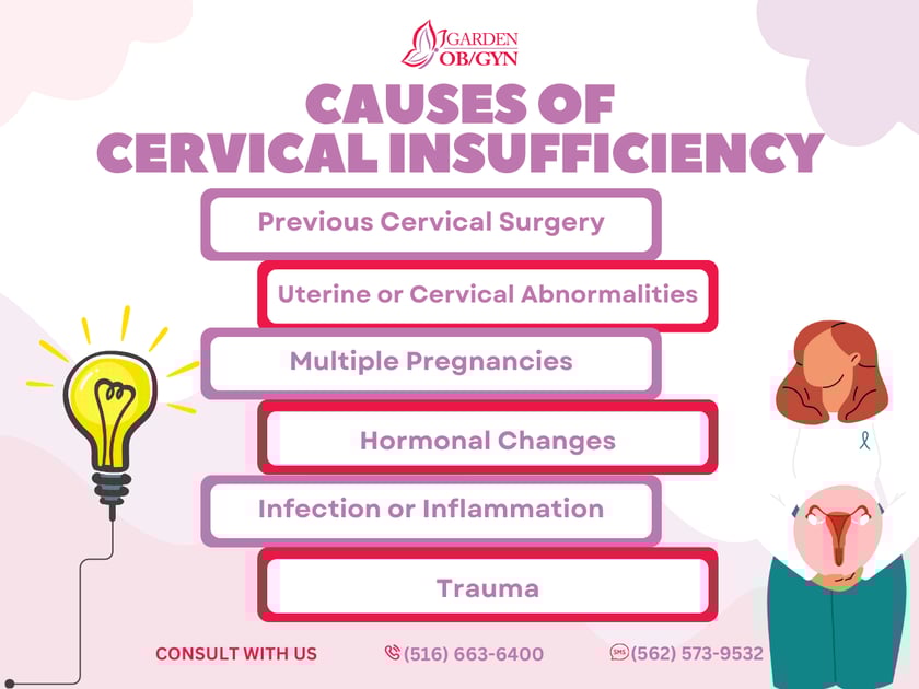 What are the Causes of Cervical Insufficiency?: Garden OBGYN: Obstetrics
