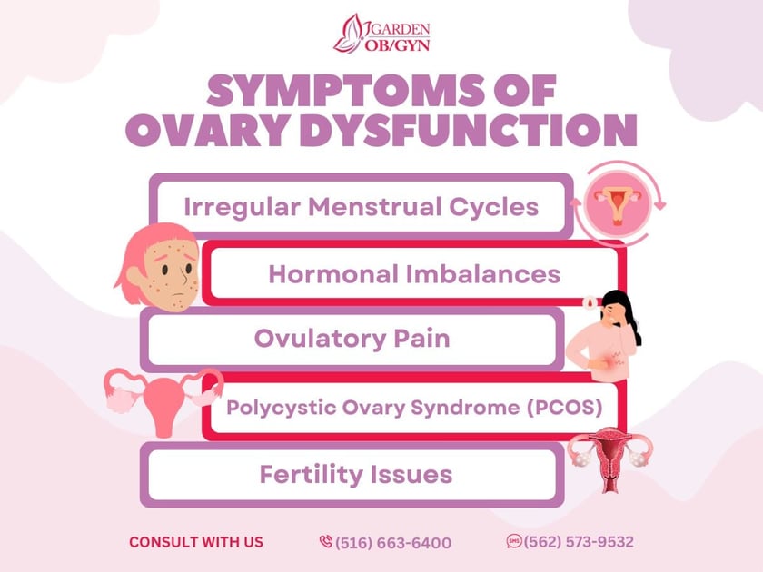 Understanding Symptoms of Ovary Dysfunction: Garden OBGYN: Obstetrics