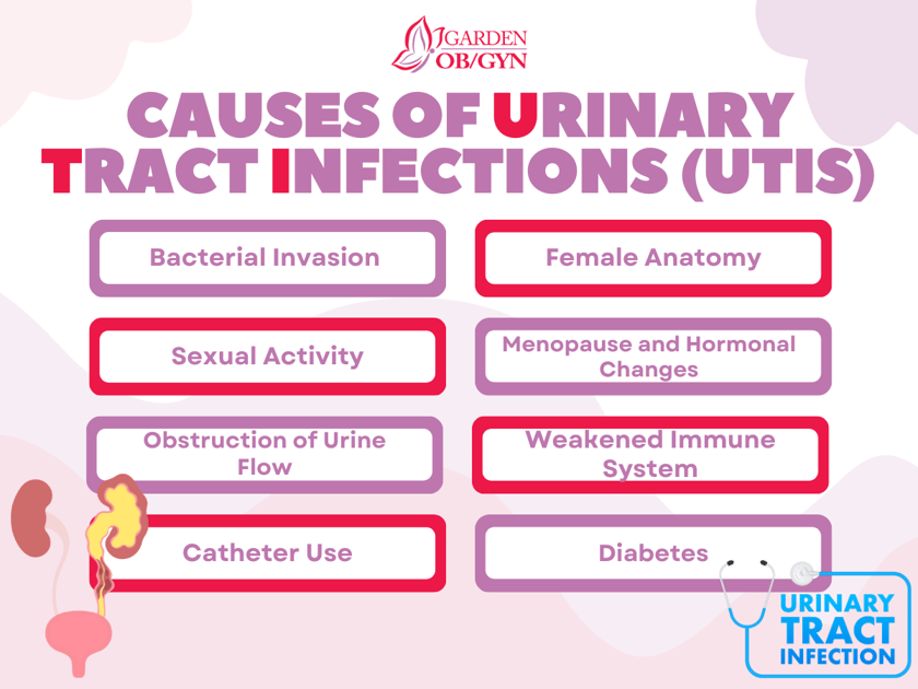 Causes of Urinary Tract Infections: Garden OBGYN: Obstetrics